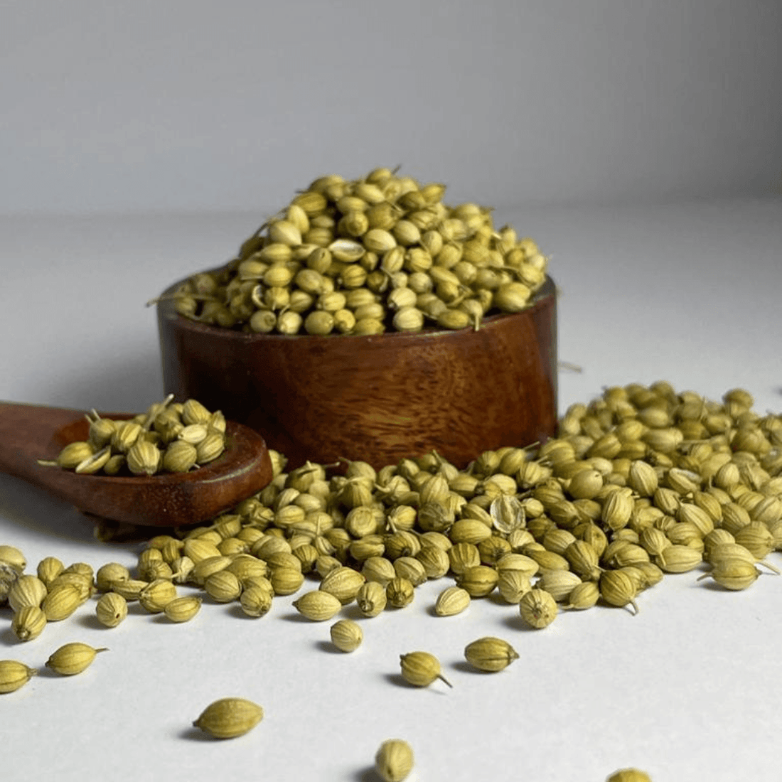 Coriander Seeds Dry Coriander - Al Saeed Spices and Spices – بهارات و ...